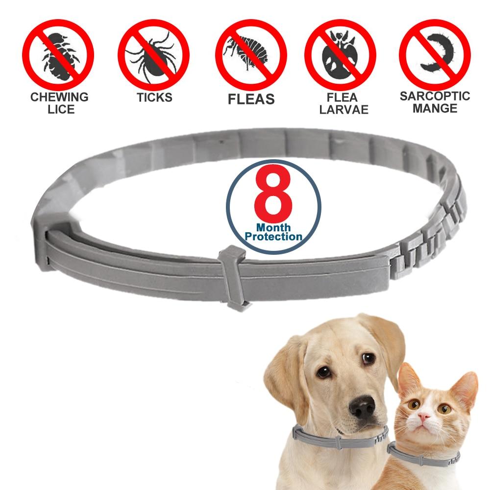 Buy 38cm 70cm Retractable Deworming Dog Cat Collar Anti Flea Ticks ...