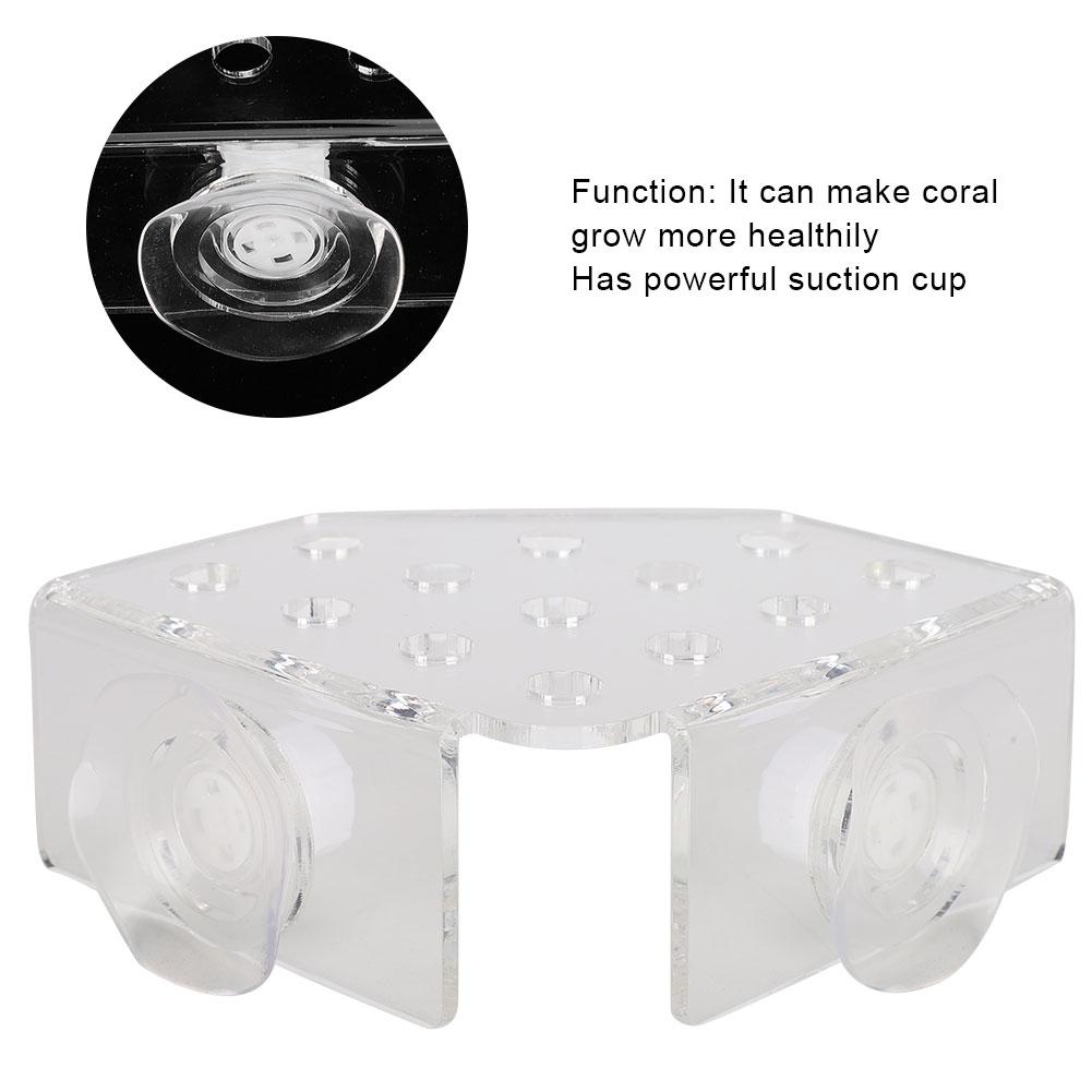 Buy Coral Bracket Acrylic Coral Rack 13 Hole Reliable Aquarium for ...