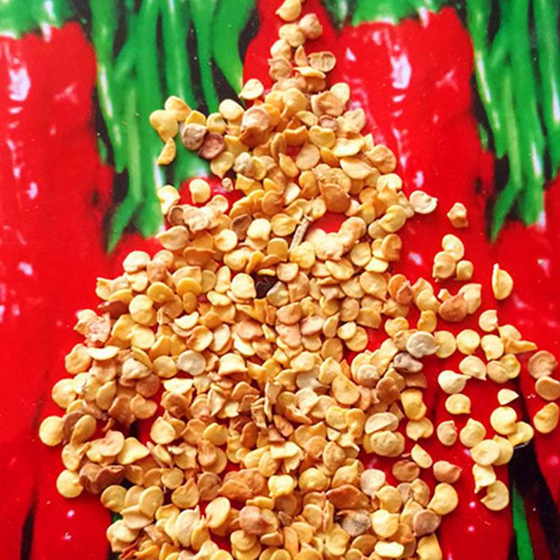 Buy 10G /Bag Home Garden Rare Spices Red Chili Pepper Vegatable Plant ...