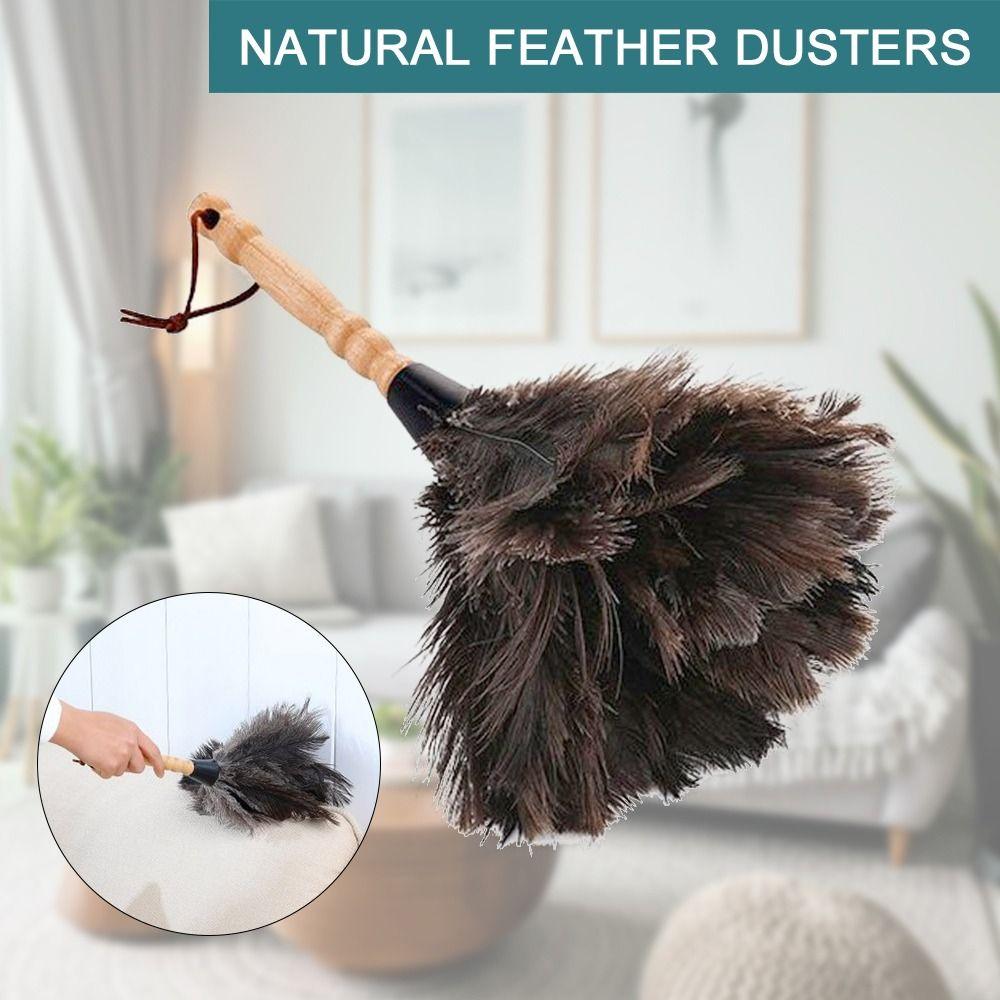 Buy Portable Handhold Anti-static Home Clean Tool Wooden Handle ...