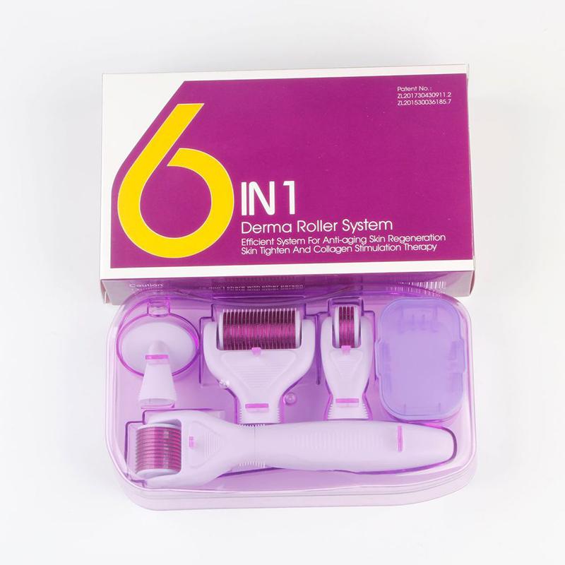 Buy 1 Set 6 In 1 Micro Needle Roller Microneedle Derma Roller Facial ...