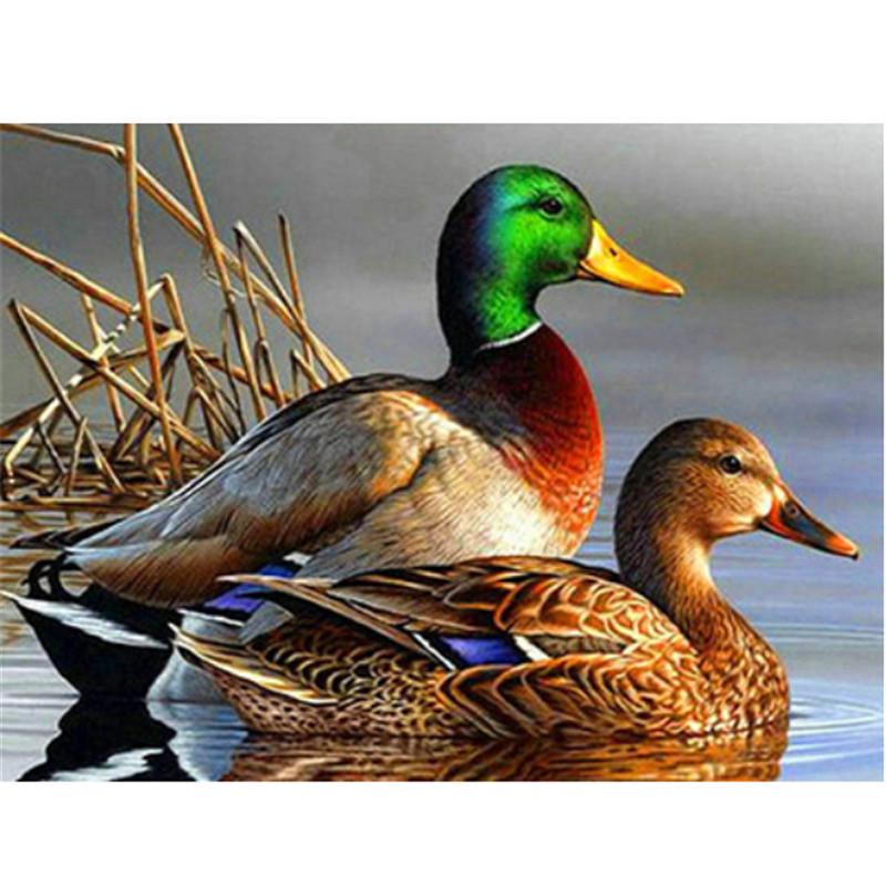 Buy 5D DIY Diamond Painting Two wild ducks Diamond Embroidery Kits ...