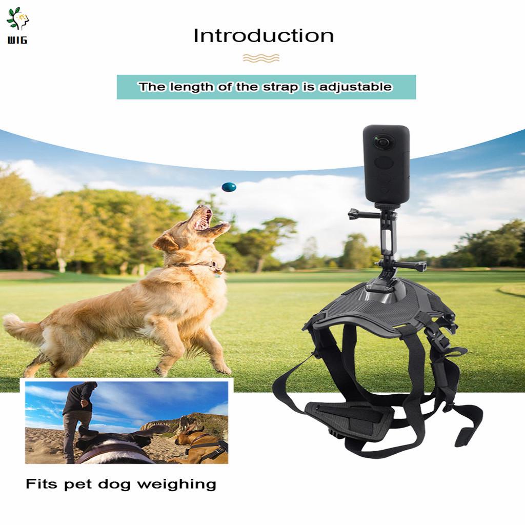 Buy WIG STARTRC Dog Chest Strap Holder Pet Vest for Insta360 ONE X/EVO ...