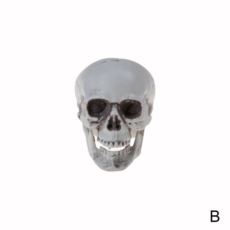 Buy Halloween Decorations Artificial Skull Head Model Plastic Skull ...