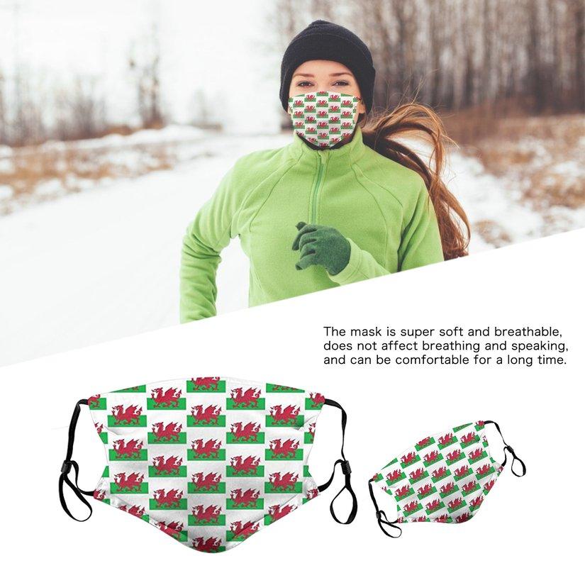 Buy ICOCO Top Style Welsh Flag Print Windproof And Dustproof Mask With ...