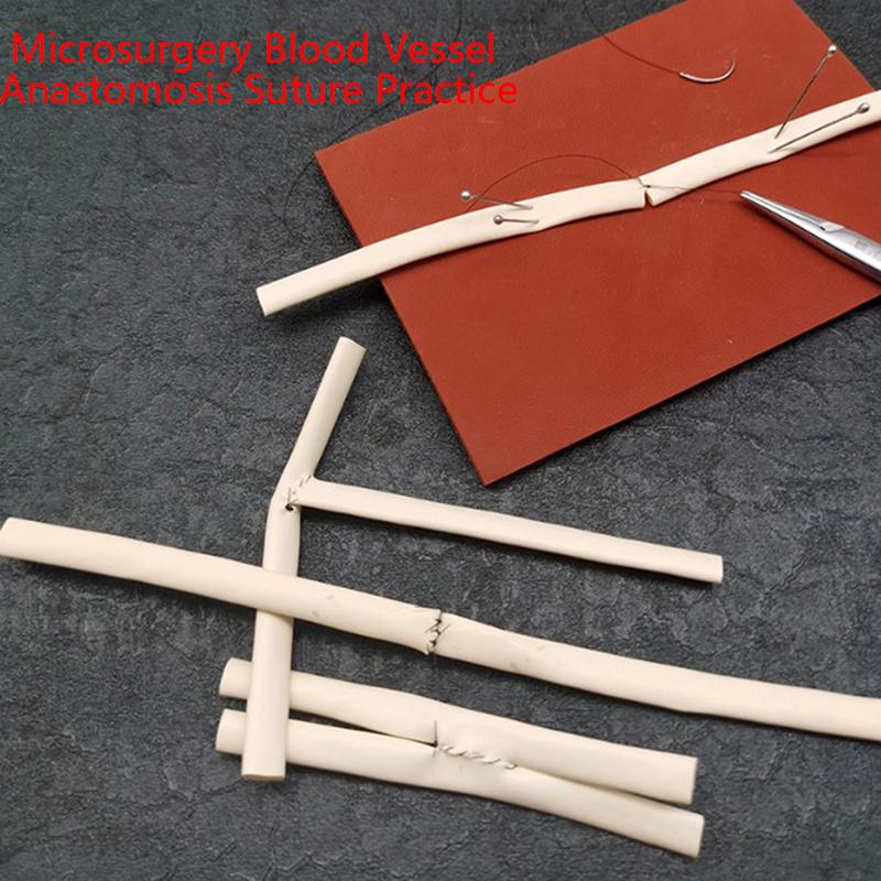 Buy Microvascular Anastomosis Exercise Model Intestinal End-To-End ...