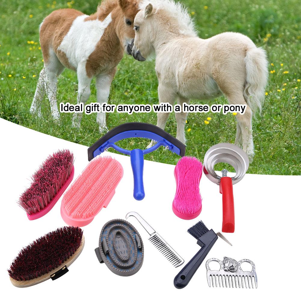 Cheap 10pcs Horse Care Grooming Set Durable Cleaning Kit Scraper Brush ...