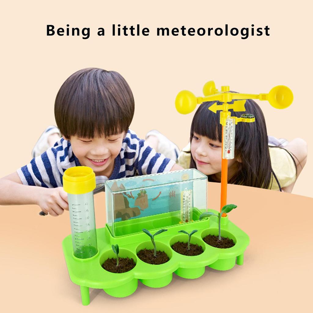 Greenhouse Kids Science Experiment Kit Garden Plants Growing Toy uygun ...