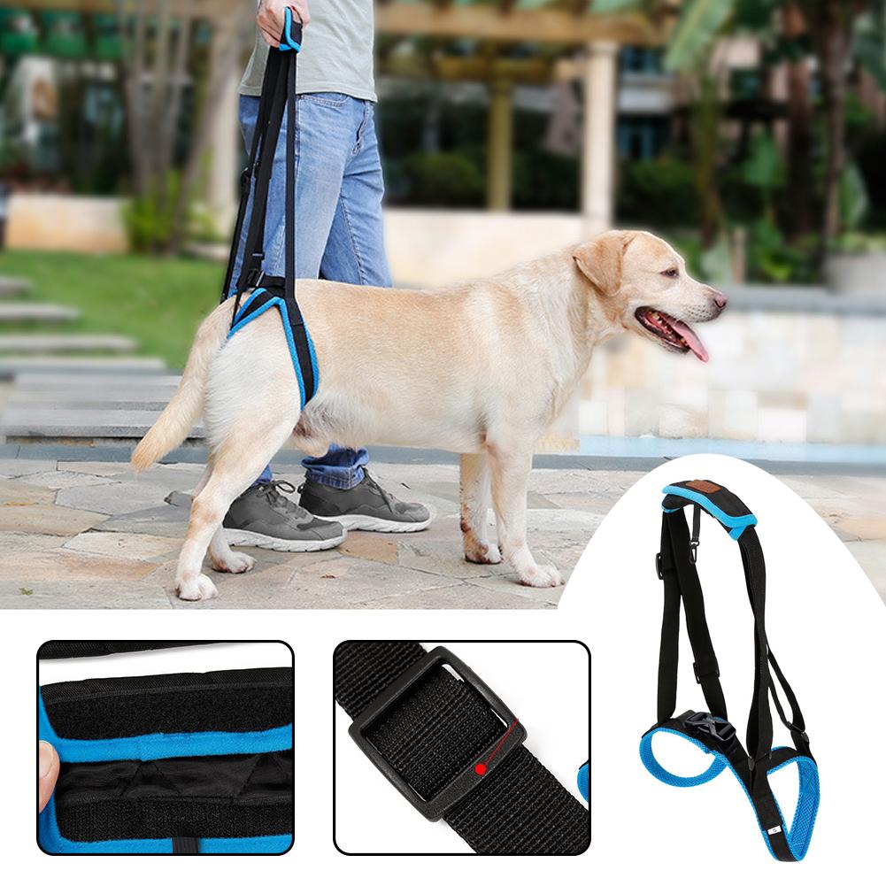 Pet Dog Auxiliary Belt Old Dogs Balance Support Belt Dog Support ...