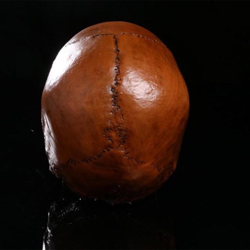 Buy Cool 1:1 Super Simulation Upscale Resin Human Skull Replica Resin ...