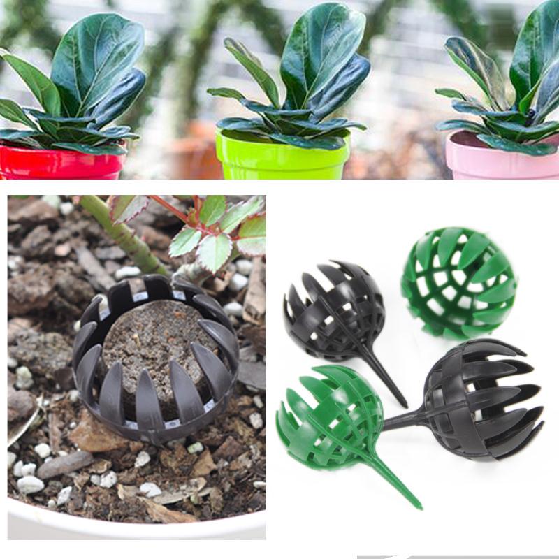 Buy Plant Garden 4cm Cultivate Bonsai Tool Fertilizer Dome Case at ...