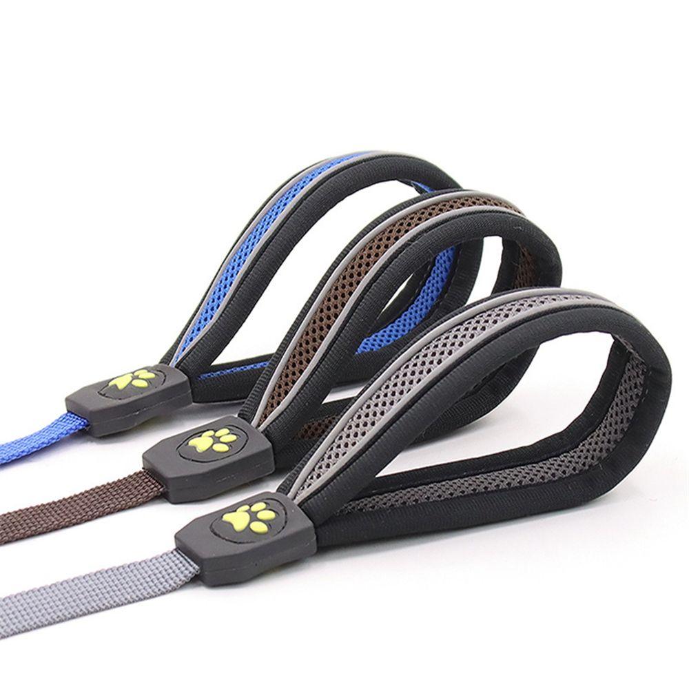 Buy Buckle Puppy Neck Strap Training Walking Dog Leads Pet Supplies Pet ...