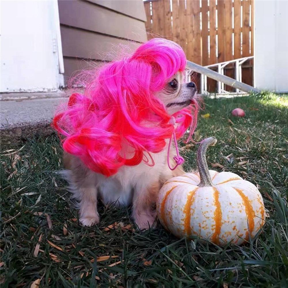 Buy Pink/Gold/Orange Dog Wigs Polyester Dog Curly Hair Creative Puppy ...