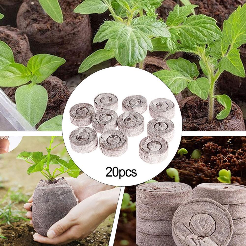 Cheap 30X30X12mm Planting Soil Compressed Mud Outdoor Garden Peat ...