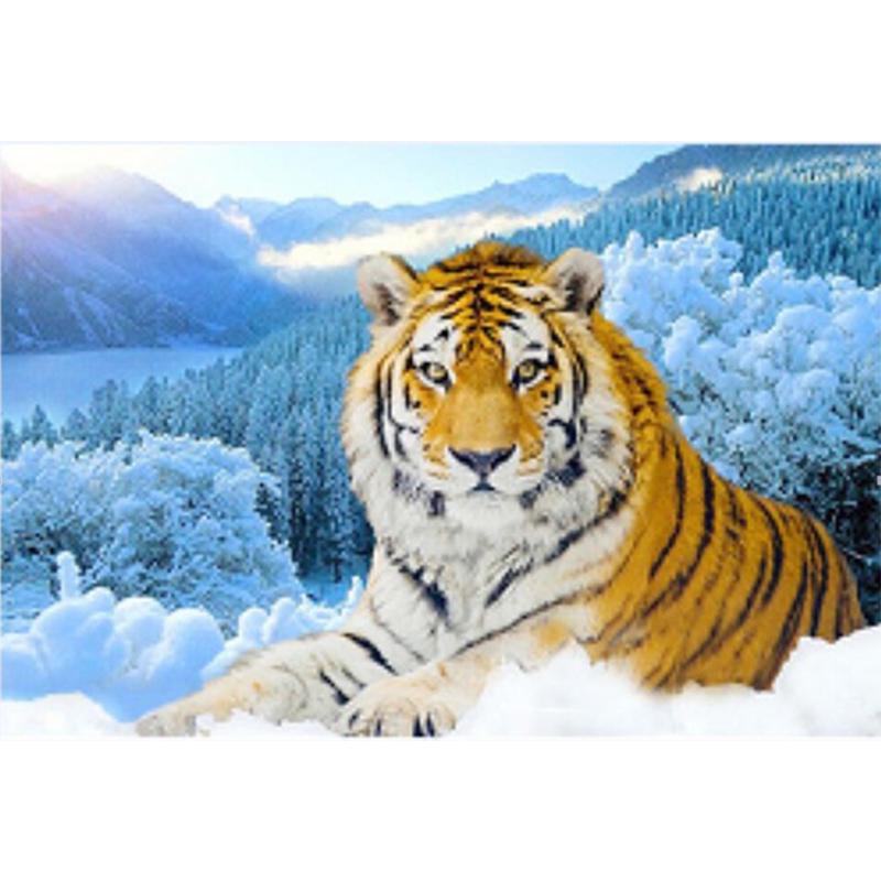 Купити Алмазна картина Лев Вишивка хрестиком Мозаїка Алмазна вишивка Тварини Картинки зі