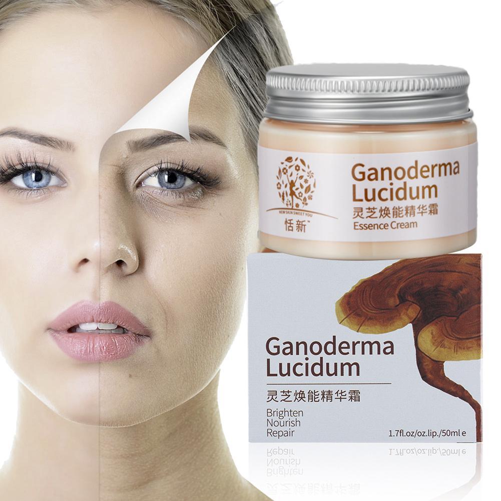 Ganoderma Lucidum Cream Moisturizing Autumn Winter for Face Whitening ...