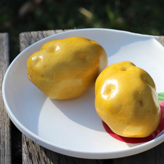 Buy Imitation potato fake fruit and vegetable photography props ...