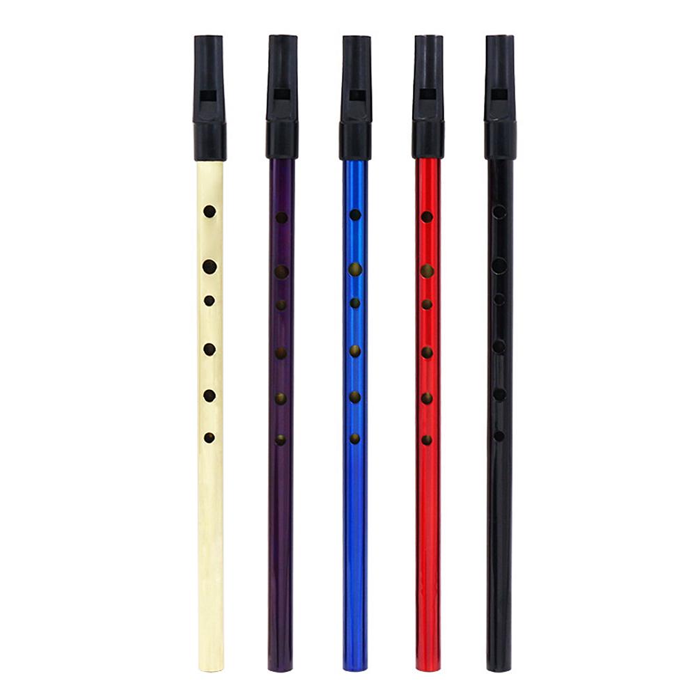 Buy Blazers Traditional Tin Penny Whistle 6 Holes Wind Music Instrument ...