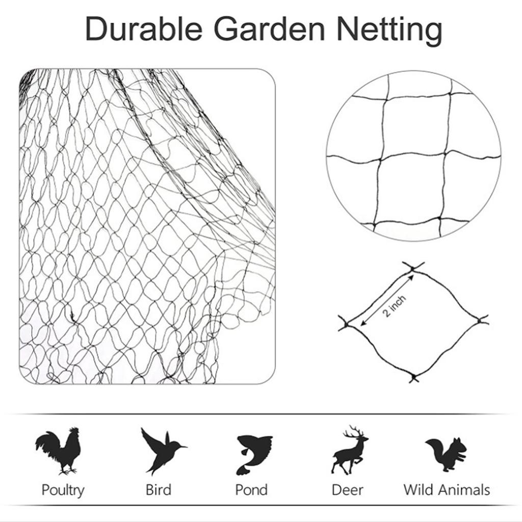 Buy Heavy Duty Bird Netting,Anti-Bird and Deer Net,Garden Nets for Fruit,Vegetable,Plant Trees ...