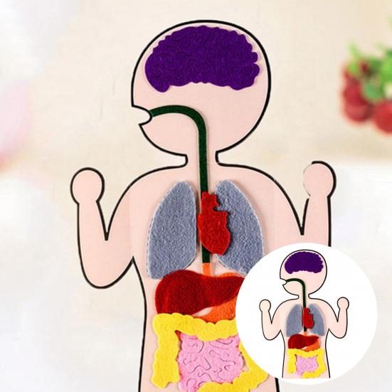 Buy Multifunctional Adhesive Funny Smooth Surface Handcraft Human Body ...