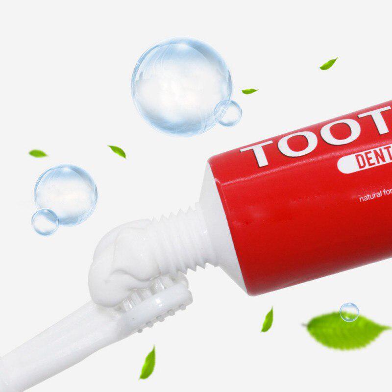 Buy Dog Dental Tool Kit, Teeth Cleaning And Fresh Breath Edible ...