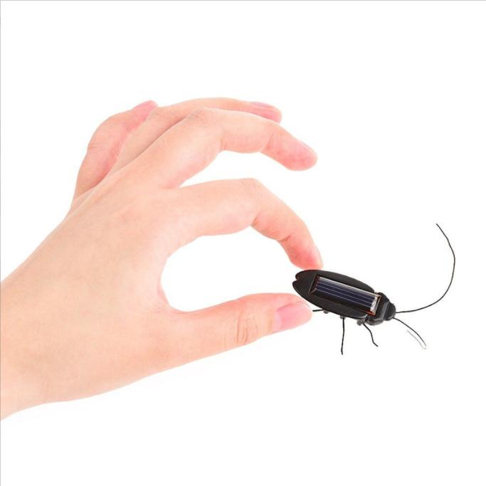 Cheap Educational Solar Powered Cockroach Robot Toy Solar Powered Toy ...