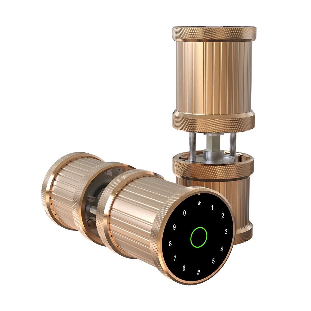 Cheap Tuya Smart Lock Fingerprint Lock Bluetooth Office Interior Door ...