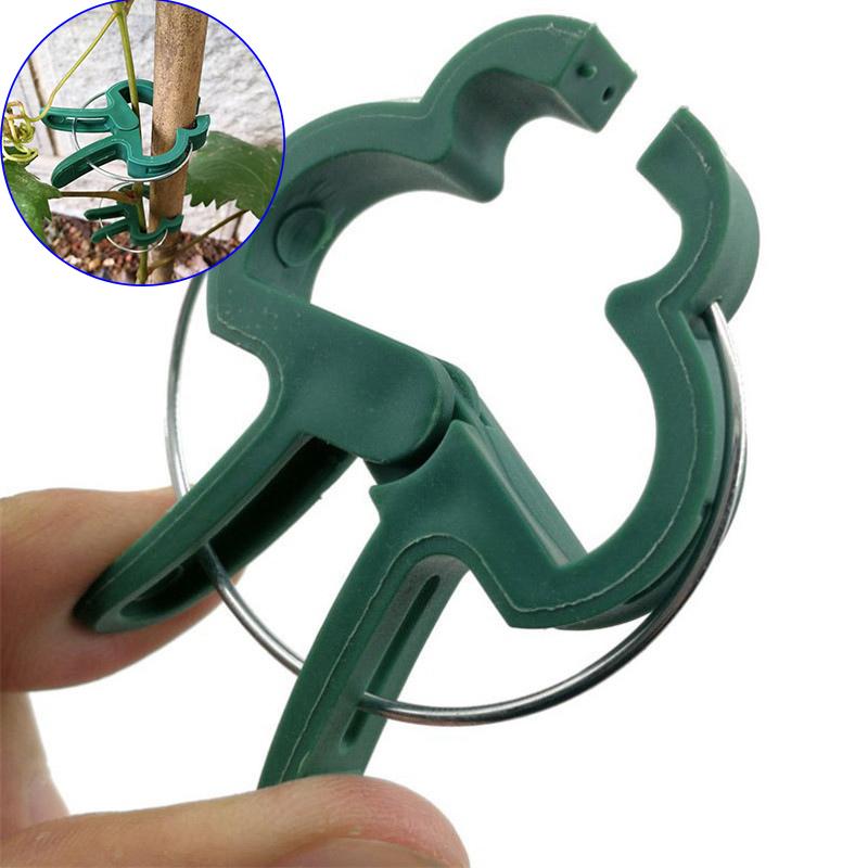 Buy Reuseable Garden Clips Cane Support Sprung Reusable Plant Clips ...