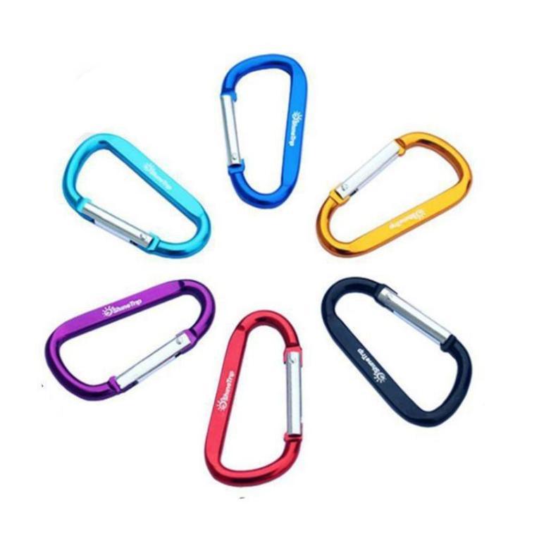 Buy WANG 10Pcs Aluminum Keyring Carabiner D-Ring Key Chain Clip ...