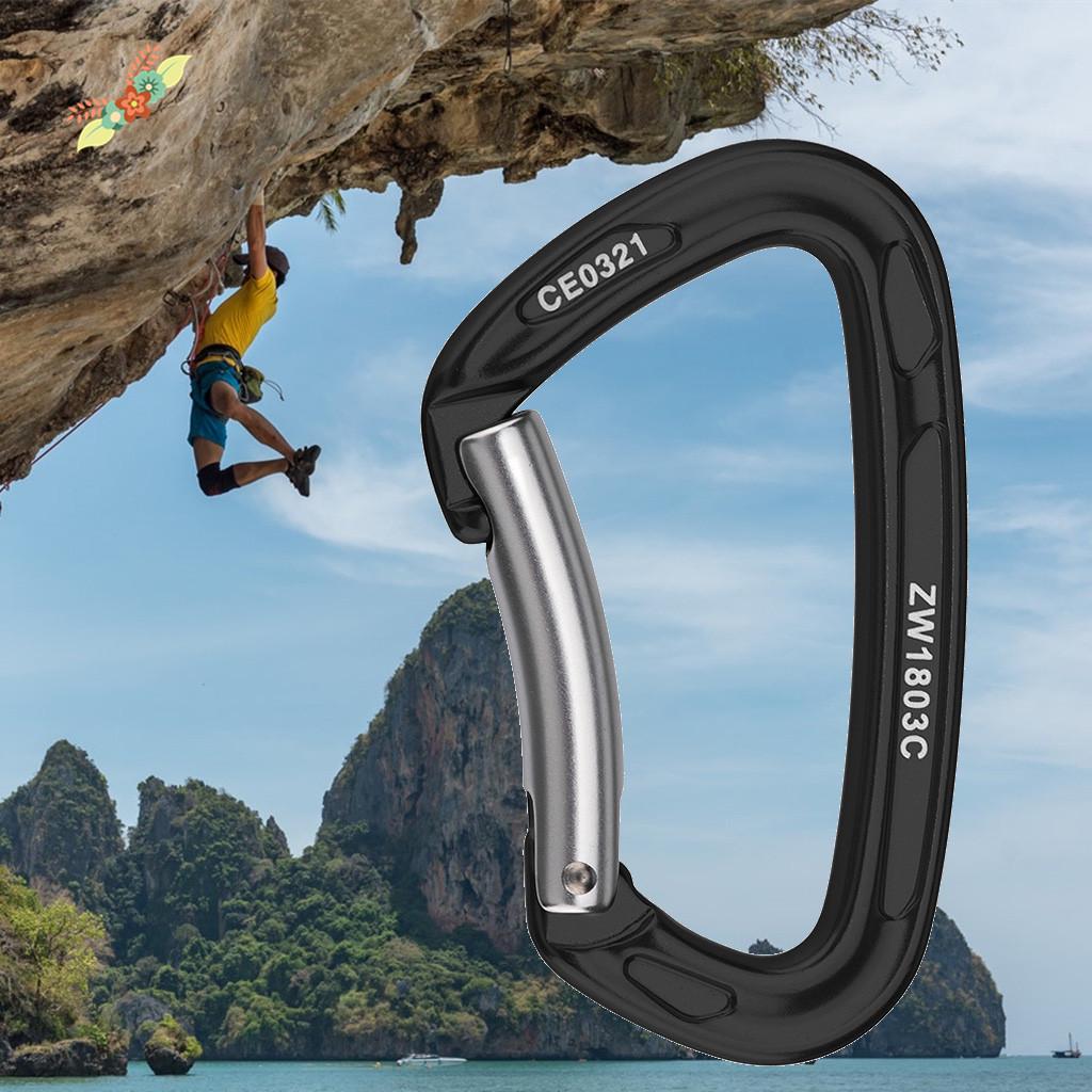 Buy Outdoor Climbing Carabiner Screw Lock Protection Rock Rappelling at ...