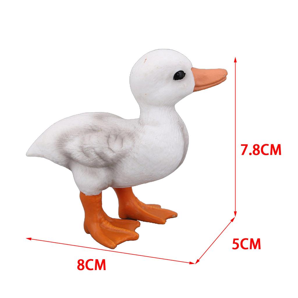 Buy Mini Simulation Animal Model Educational Realistic Duck Decor for ...