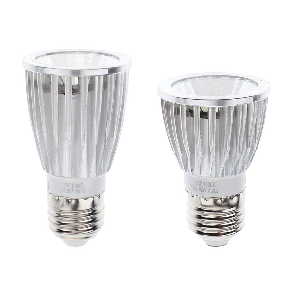 Buy COB Spotlight Bulb E27 LED Light Screw Lamp 220 240V Warm 5W at ...
