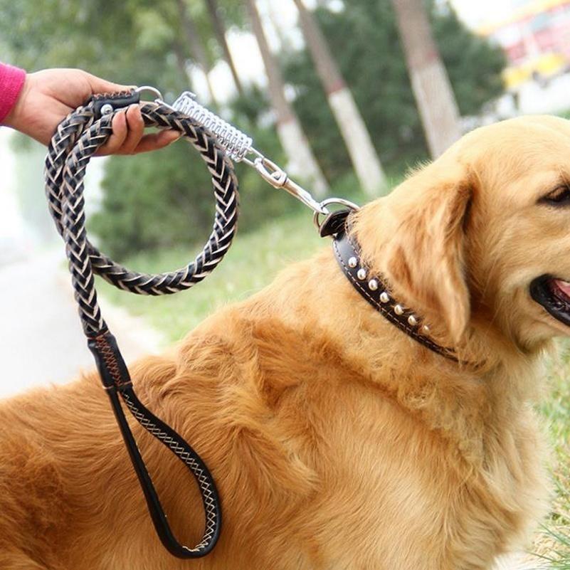 Buy Pet Supplies Cowhide Dog Chain Genuine Leather Rope Traction Dog ...