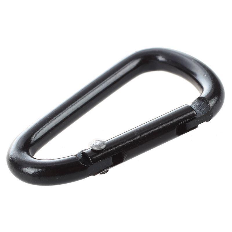 Buy 10 Pcs Black D Shaped Aluminum Alloy Carabiner Hook Keychain at ...