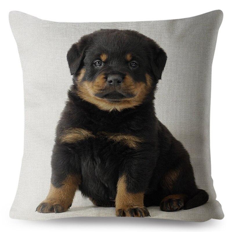 Buy Germany Loyalty Rottweiler Dog Pillow Cover 45x45cm Cushion Covers ...