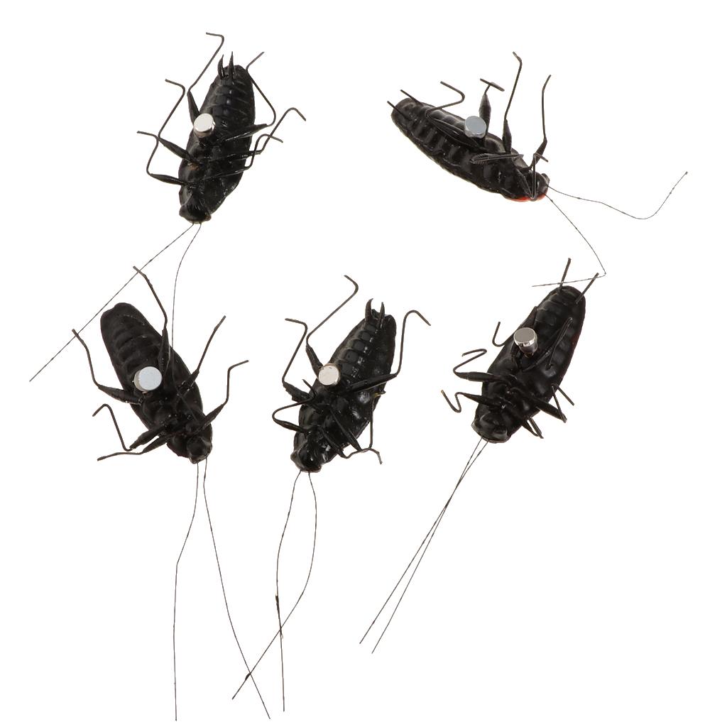 Buy 5Pcs Simulation Artificial Insect Model Kids Educative Toys Locust ...