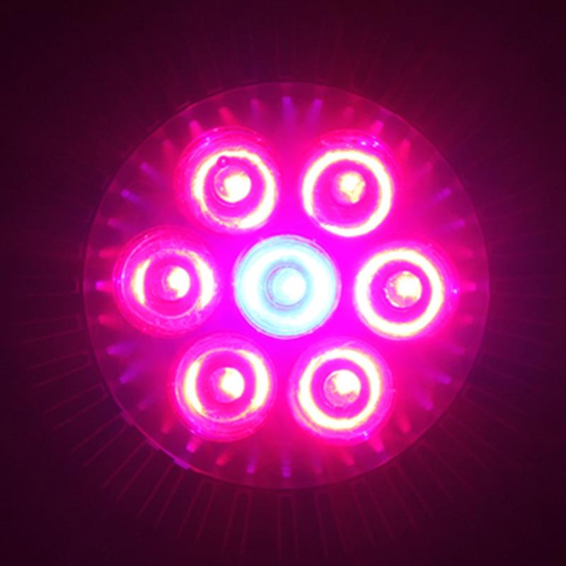 Buy Blue Red LED Grow Light E27 E26 AC85-265V Full Spectrum Growing ...