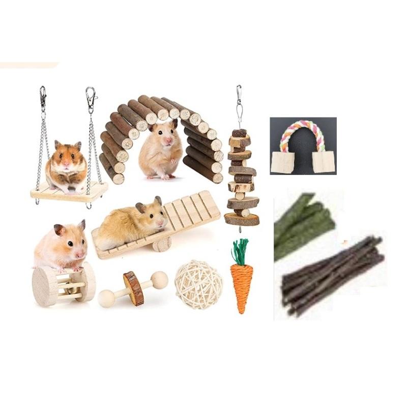 Buy 1 Wooden Hamster Play Toy Set Of 11 Pieces at affordable prices ...