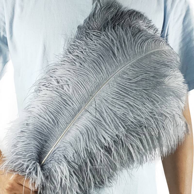 Buy 10pcs Natural Ostrich Feathers Wedding Party Decoration, Ostrich ...
