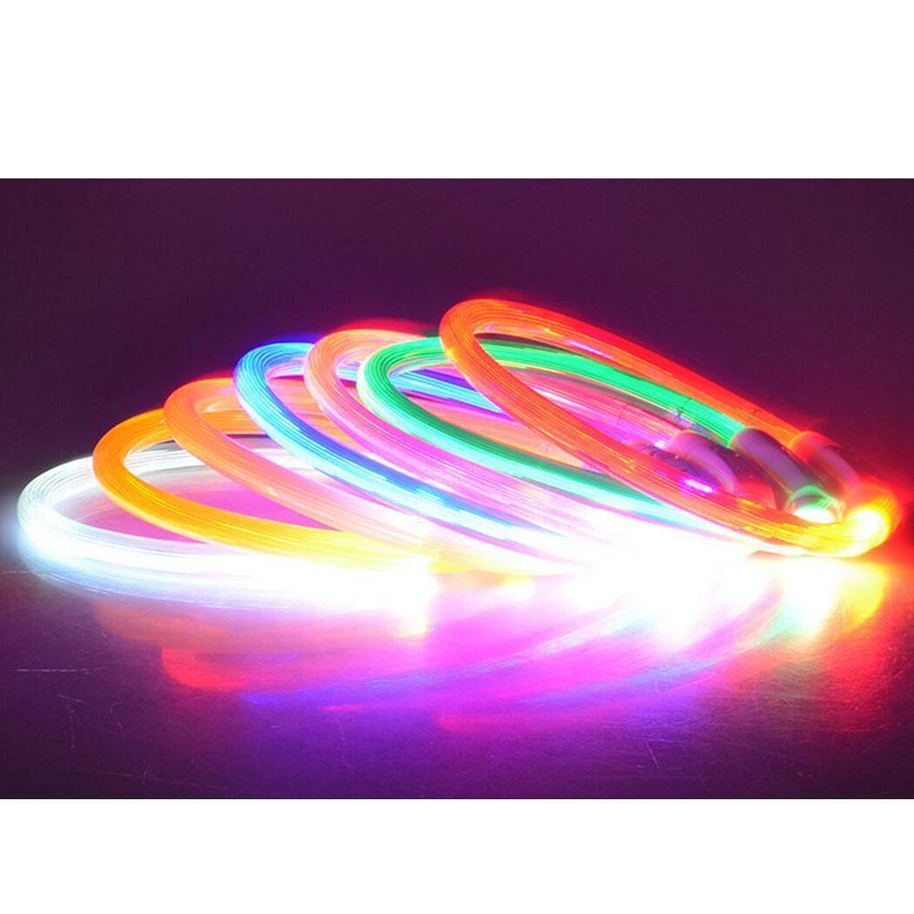 Buy New Fresh LED Flashing Pet Dog Band Light USB Collar at affordable ...