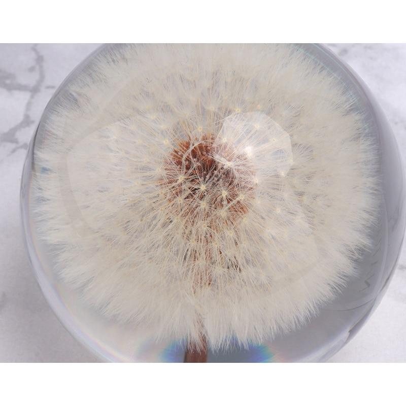 Buy Real Dandelion Crystal Glass Resin Lens Ball 80mm Natural Plants ...