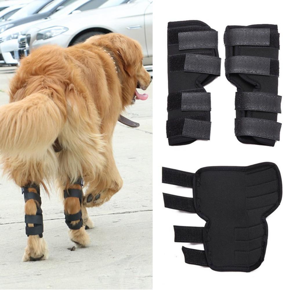 Buy Injury Wrap Protector Dog Support Brace Dog Supplies Dog Wrist ...