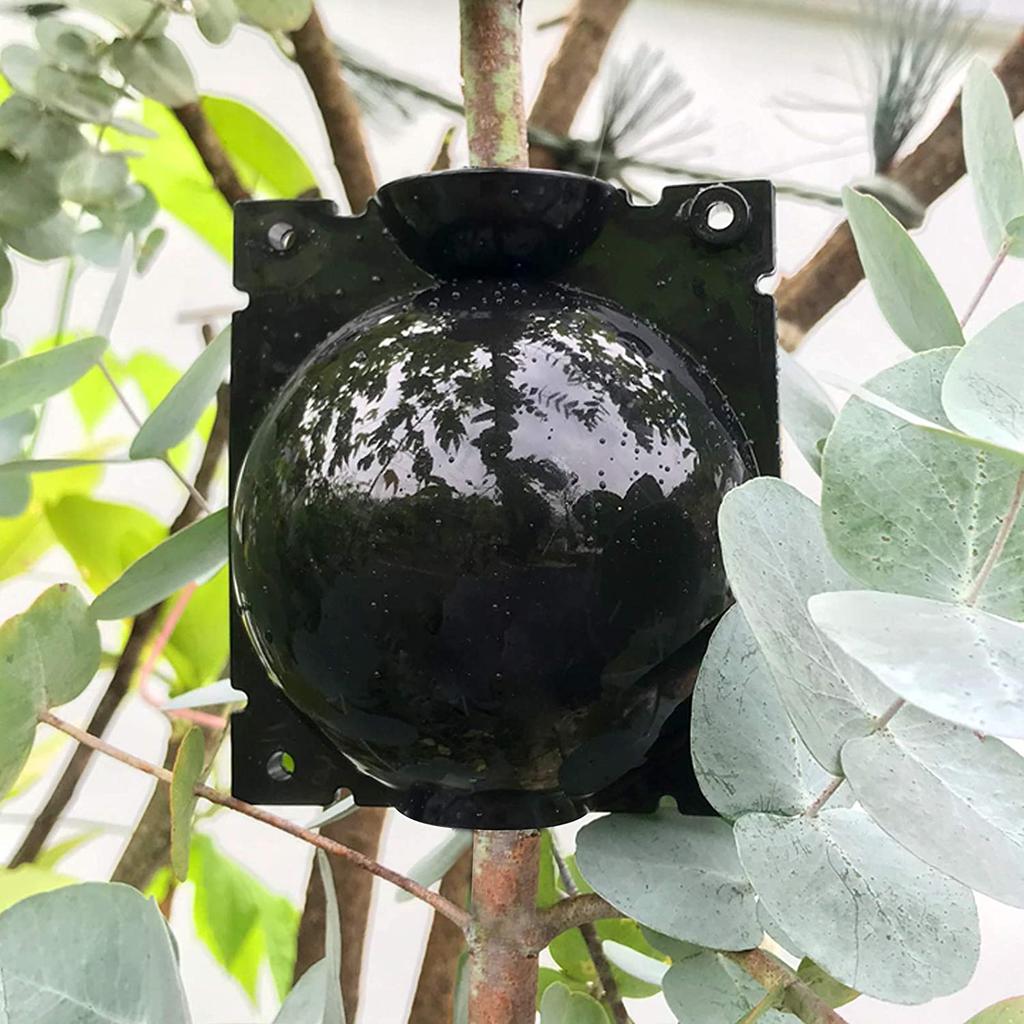 Αγοράστε 1/3/5 PACK Root Growing Box High-Pressure Propagation Root ...