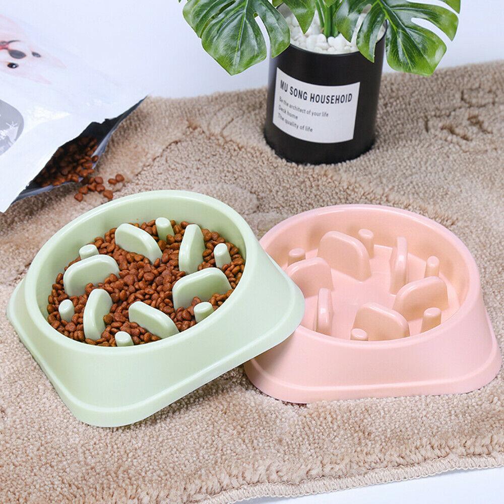 Buy Pet Bowl Dog Cat Interactive Slow Food Feeder Healthy Gulp Feed ...