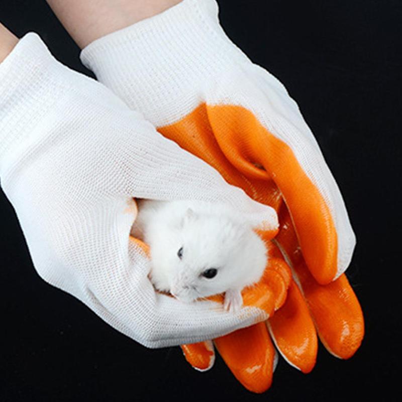 Buy 2pcs Hamster Anti-bite Gloves Anti-mite Hand Grab Protection ...