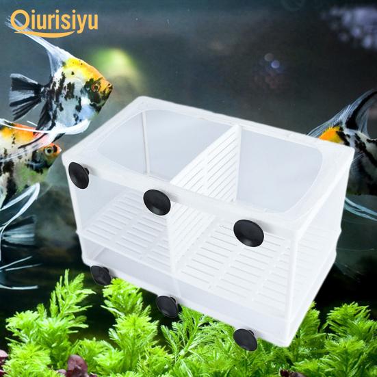 Buy Isolation Net Hatchery Aquarium Supplies Plastic Fish Tank Breeding ...