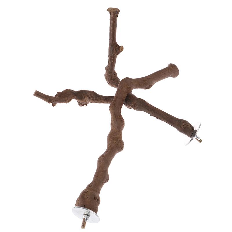 Buy Pet Parrot Bird Standing Stick Wild Grape Wood Pole Perches Bite ...
