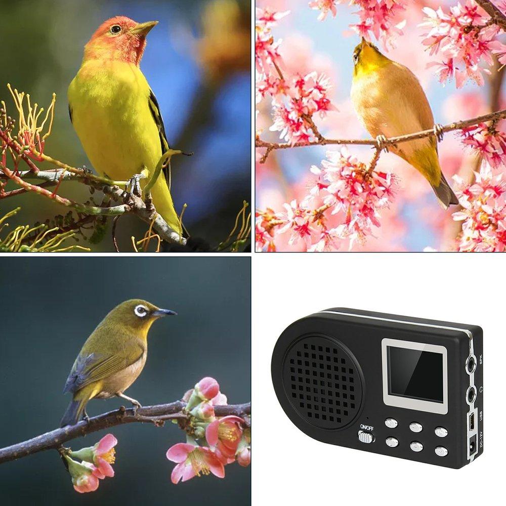 BMS Outdoor Decoy Bird Caller MP3 Player Birds Loudspeak LCD Screen ...