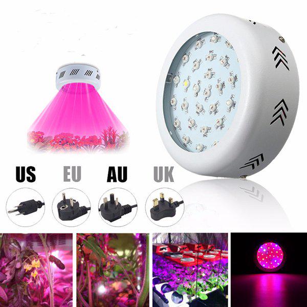 Buy 300W UFO LED Grow Light Full Spectrum Lamp Panel Hydro Indoor Veg ...