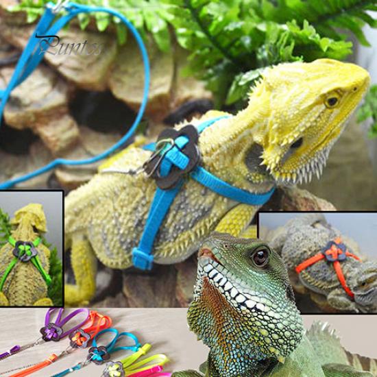 Buy Reptile Lizard Chest Strap Harness Leash at affordable prices ...
